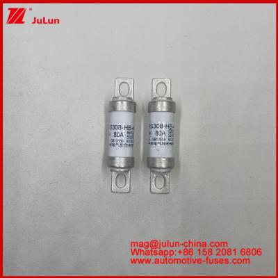 China Battery, Motor RS308-HB 16A 550VDC Energy Storage  Ceramic Automotive Fuses With Rated Voltage AC690V/DC550V And Mounting Method SCREW BOLT for sale