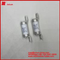 China Battery, Motor RS308-HB 16A 550VDC Energy Storage  Ceramic Automotive Fuses With Rated Voltage AC690V/DC550V And Mounting Method SCREW BOLT for sale