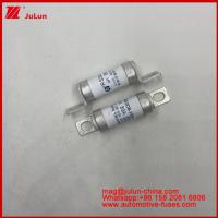 China SCREW BOLT RS308-HB-4G 20A 60A Ceramic Automotive Fuses for Voltage Applications up to AC690V/DC550V for sale