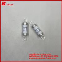 China Bolt Fast Fuse 50A 63 80A 100A RS308-HB-4G Ceramic Automotive Fuses For AR Usage 690AC 550VDC JASO D622 Certification for sale