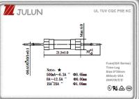 China 250VAC Ceramic Tube Time Lag Miniature Fuse For Lighting Industry for sale