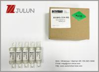 China Ceramic 700V DC Rated Fuses For EV HEV Terminal Distribution for sale