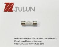 China 600V 500V 5x20mm Time Delay Ceramic Tube Fuses for sale