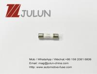 China 600V 500V 5x20mm Time Delay Ceramic Tube Fuses for sale