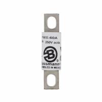 China 250V 35-2500A FWX Fuse North American Series Specialty For Semiconductor for sale