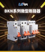 China BKN Micro Broken Circuit Breaker , LG / LS Electric Small Circuit Breaker for sale