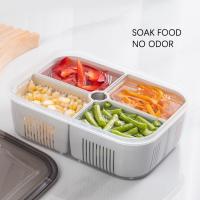 China Plastic 3 Compartment Lunch Containers OEM Food Container Freezer for sale