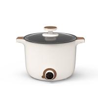 China Multi Function Electric Hot Pot Cooker 250W For Convenient Cooking for sale