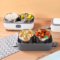 China Double Layer Mini Cooker Portable Lunch Box 2 Liters Leak Proof for sale