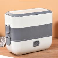 China Double Layer Mini Cooker Portable Lunch Box 2 Liters Leak Proof for sale