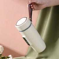 China 110V/220V Travel Electric Hot Water Cup With Temperature Control 4 Variable Presets for sale