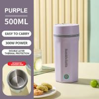 China Electric Hot Water Cup 500ML/18Oz Small Electric Kettle With Auto Shut Off 304 Stainless Steel for sale