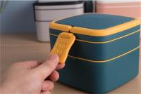 China Double-Layer Portable Plastic Bento Lunch Box With Lid 1000ML Rectangular Blue for sale