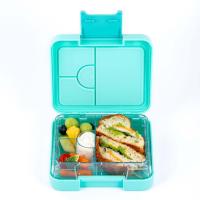 China 19*17*5cm Plastic Box Leak-Proof and Versatile for Multi-Functional Storage for sale