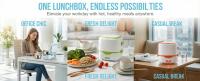 China CE Electric Cooker Box 1.5L Double Tier 350W Multifunctional Lunch Box for sale