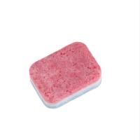 China Strong Cleaning Eco All In1 Kitchen Disposal Cleaner Tablets Support OEM for sale