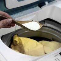 China Unleash Power Of Fresh Powerful Pet Laundry Detergent Powder Odor Eliminator for sale