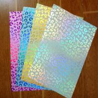 China Sparkle Premium Glitter CPP Film 85 Micron Durable Decorative Packaging Roll 1000m for sale