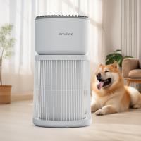 China Portable Smart Hepa 13 Air Purifier Smoke Eater 600 Sq Ft Custom for sale