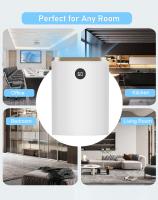 China Household Hepa Filter Air Purifier Dehumidifier In One For Dry Cabinet OEM for sale