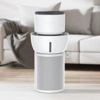 China Dual Purpose Humidifier Air Cleaner purifier Appliance 2 in 1 With Negative Ions for sale