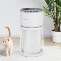 China ODM VOC Hepa Pet Air Purifier For Mold Spores ROHS Certificated for sale