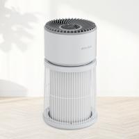 China Carbon HEPA Filter Uv Air Purifier Iron Mesh Design 235CFM for PET for sale