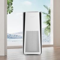 China Indoor Hepa Filter Air Purifier 1-12h Timer Wi-Fi For Large Living Areas for sale