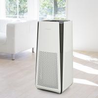 China High CADR Hepa Filter Air Purifier 352CFM With Negative Ions for sale