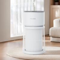 China OEM ODM New Design Professional Pet Air Purifier Filter Change Reminder HEPA Filter With Active Carbon for Bedroom for sale