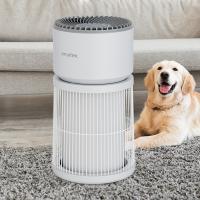 China Hot Sale Pet Use Air Purifier for Home Allergies Pets Hair in Bedro for sale