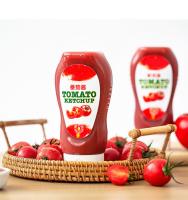 China 450g Tomato Sauce Ketchup hot chocalate jam Plastic Seasoning Bottles Ketchen Squeeze bottle for sale