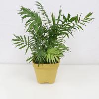 China Multi Functional Silicone Flower Pot Eco Friendly With Customized Logo for sale