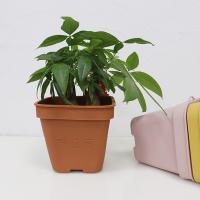 China Multi Functional Silicone Flower Pot Eco Friendly With Customized Logo for sale