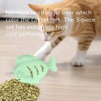 China Food Grade Silicone Fish Shaped Cat Toy – Interactive Cat Mint Ball & Teething Chew Toy for sale