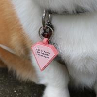 China Wholesale low MOQ Cheap different shape many colors for options silicone blank dog tag name ID tag for sale
