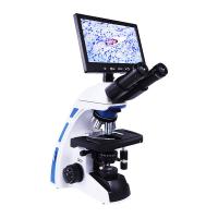 China Three-Eye Hinged Observation Tube Microscope for Bacterial Observation in Science Labs for sale