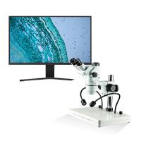 China 6.7X-45X Trinocular Stereomicroscope with 10X Eyepiece Dual LED for Biology Entomology Mineralogy for sale