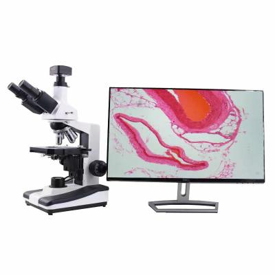 China Biological Microscope 40x-1600x Binocular with 6V 20W Halogen Lamp for Medical Teaching Research for sale