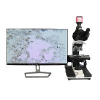 China Biological Microscope 40x-1600x Binocular with 6V 20W Halogen Lamp for Medical Teaching Research for sale