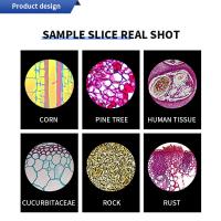 China Portable Optical Microscope for Laboratory Teaching and Testing 1600x Magnification for sale