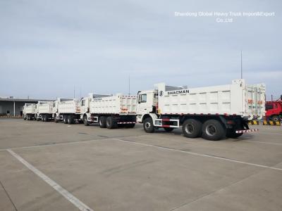 China Brand New SHACMAN F3000 6×4 Heavy Duty Dump Truck for Mining and Construction for sale