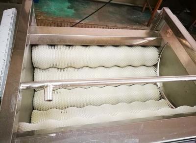 China Stainless Steel Yam Sweet Potato Ginger Onion Peeling Washing Machine 500kg/h for sale