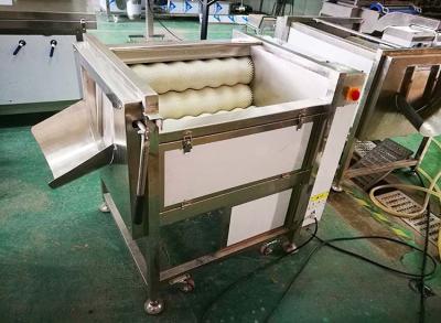 China Automatic Commercial Carrot Ginger Potato Washing and Polishing Machine 2000kg/h for sale