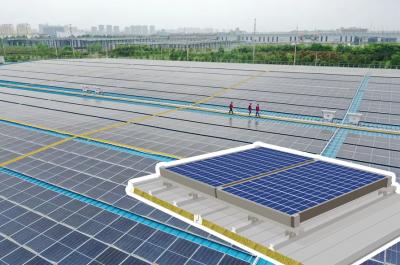 China Customized Solar Power Panel for Your Specific Requirements for sale