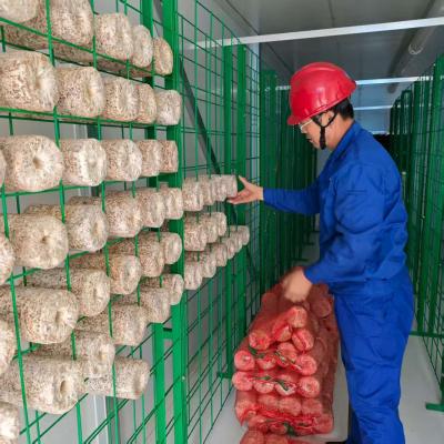 China Precisely Regulate Temperature Humidity Ventilation Lighting Mushroom Container for sale