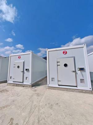 China AI Mushroom Container Farm with 5000 Bag Capacity for sale