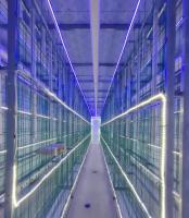 China Mobile Mushroom Cultivation Container Farm with 5000-Bag Capacity for sale
