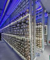 China Intelligent Mushroom Container Farm with 5000 Bag Capacity for sale