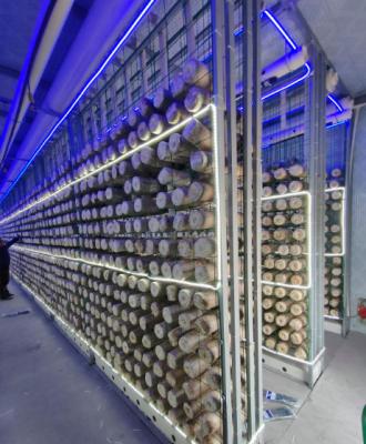 China Intelligent Mushroom Container Farm with 5000 Bag Capacity for sale